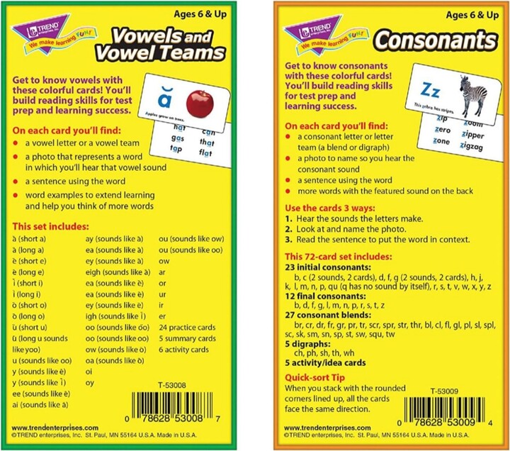 Trend Enterprises Vowels and Consonants Skill Drill Flash Cards ...
