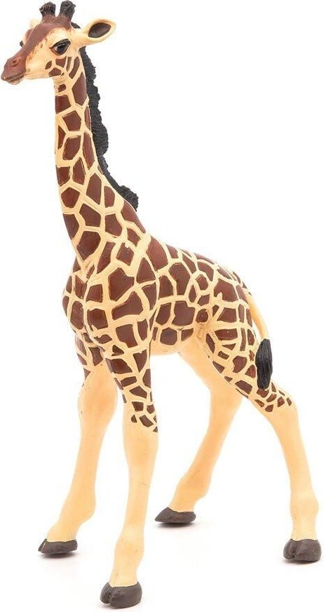 Papo Wild Animal Kingdom Giraffe Calf Toy Figure, Three Years or Above ...