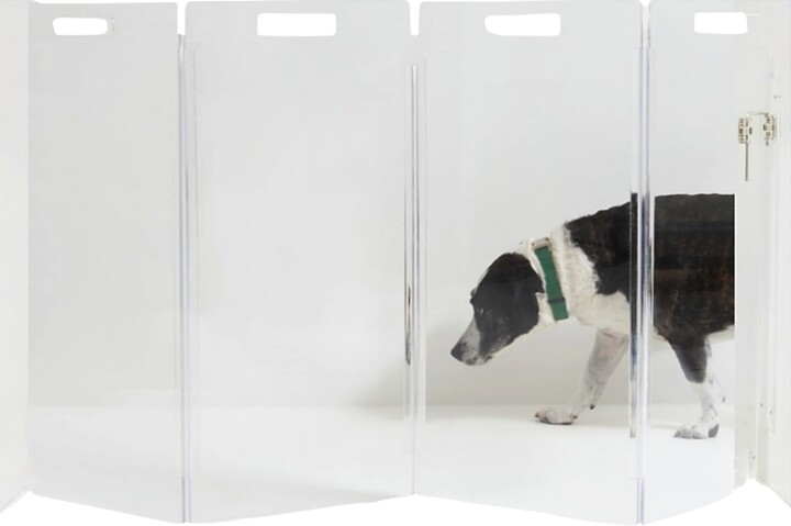 Hiddin Wall Mounted Clear Pet Gate Zig Zag, 4 Panel - ShopStyle