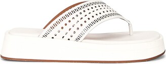 Alaia Women's Fashion | ShopStyle