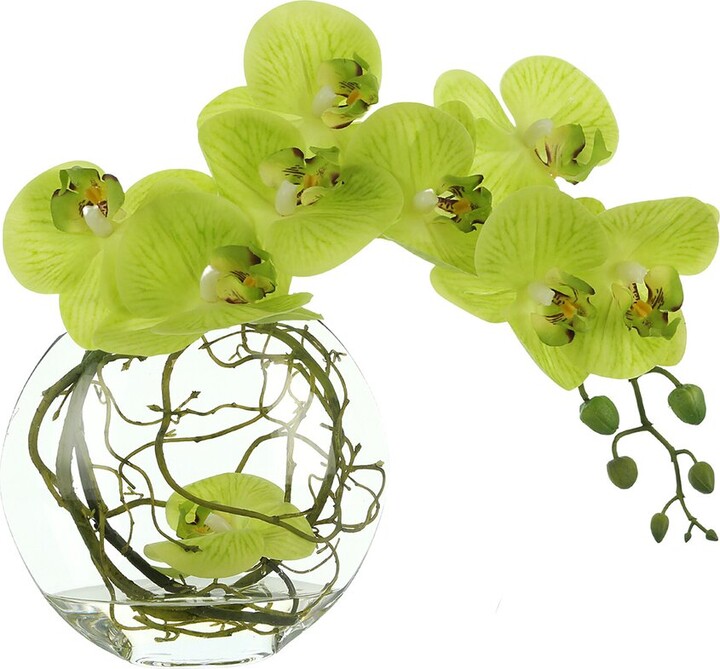 Creative Displays Orchid Floral In Glass Vase With Vines - ShopStyle