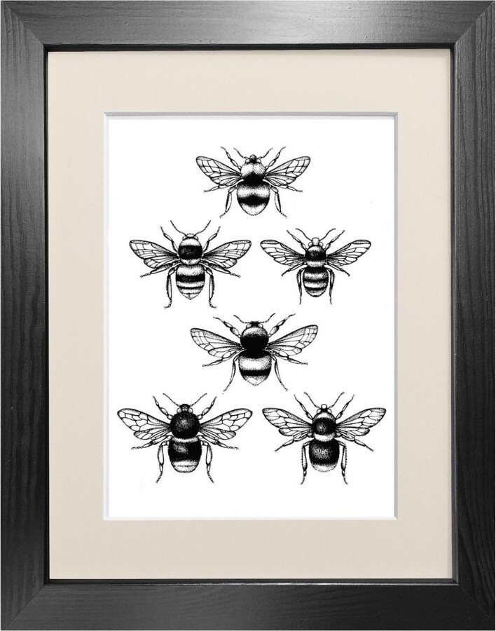 Emily Carter Black 'British Bees' Fine Art Print A3 - ShopStyle