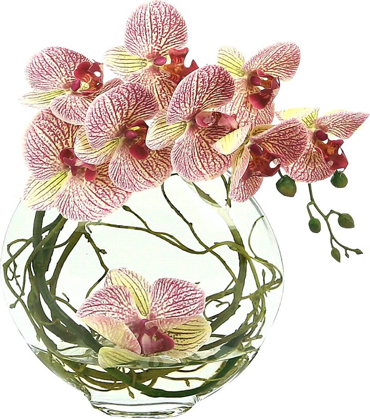 Creative Displays Orchid Floral In Glass Vase With Vines - ShopStyle