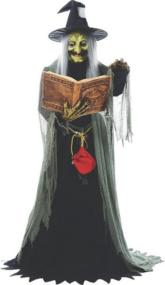 Seasonal Visions Animated Spell-Speaking Witch Halloween Decoration ...