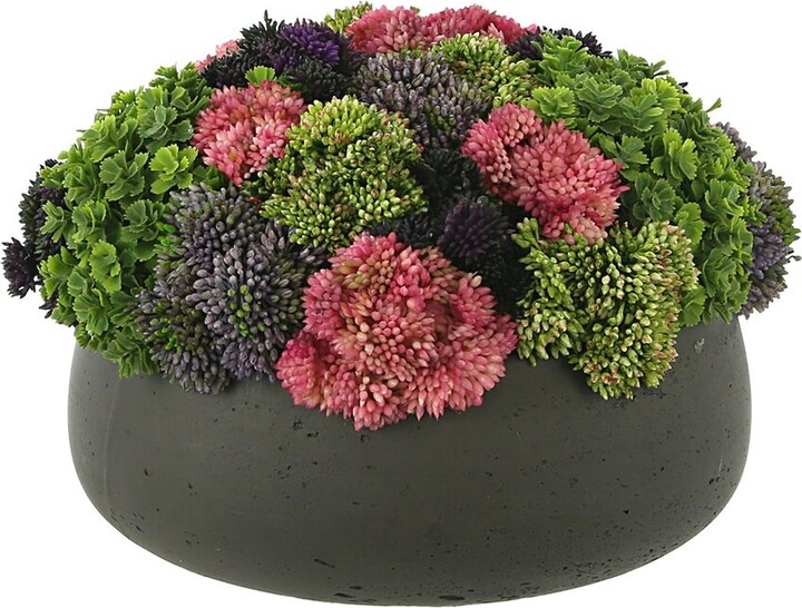 Creative Displays Sedum Arrangement In Round Planter - ShopStyle Decor