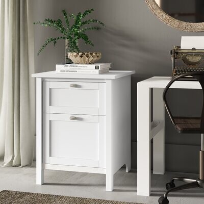 Lark Manor Akyia 2-Drawer Vertical Filing Cabinet - ShopStyle Chests